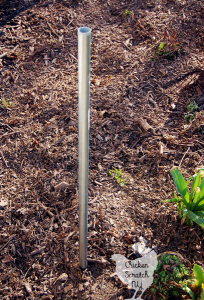 Bee and Butterfly Waterer