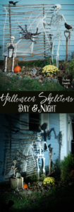 Halloween Skeleton Display for Day & Night