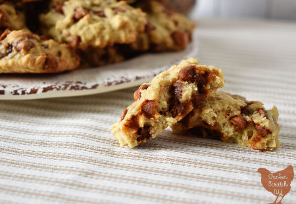 Chewy Apple Cinnamon Drop Cookies Recipe
