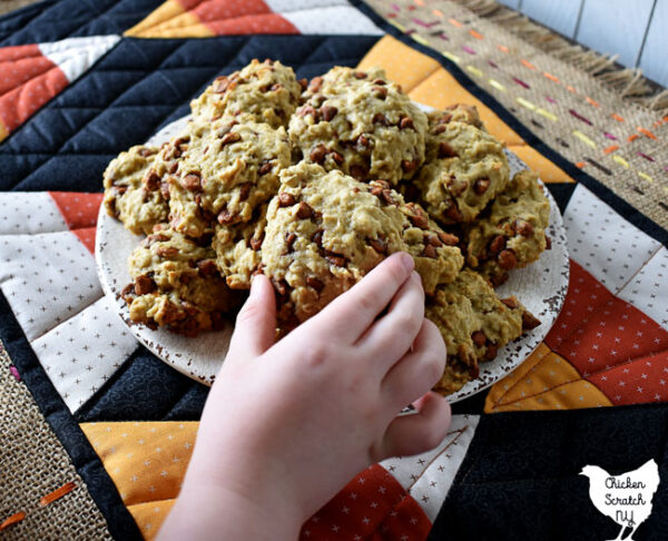 Chewy Apple Cinnamon Drop Cookies Recipe