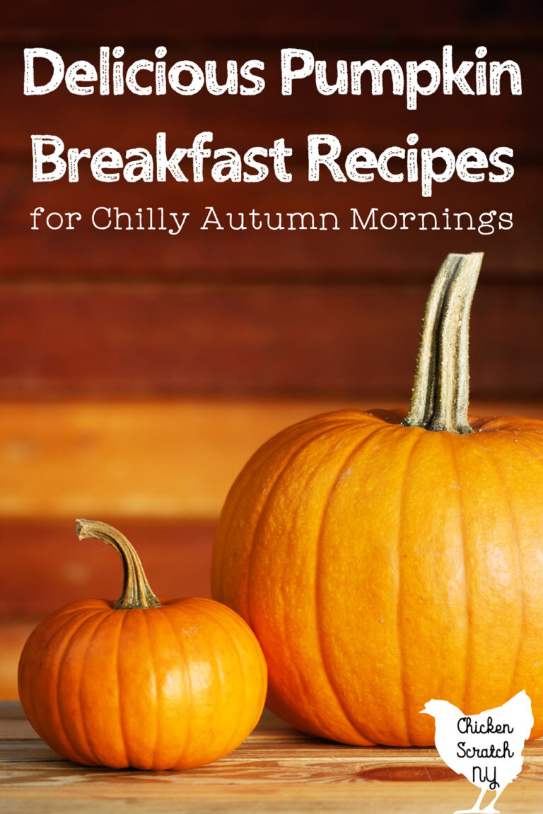 Delicious Pumpkin Breakfast Recipes for Chilly Autumn Mornings