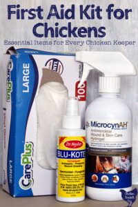 Essential Tools and Treatments for a Chicken First Aid Kit