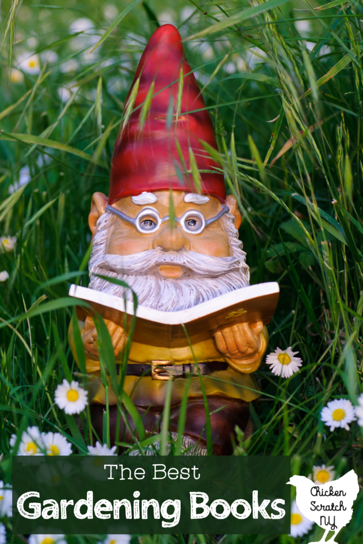 Easy Spring Vegetables to Plant in the Garden before the Last Frost Date