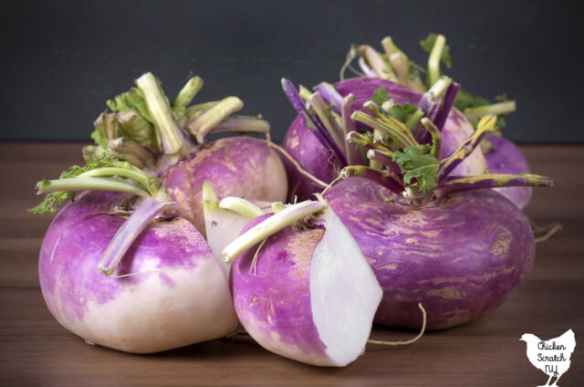 Guide to Growing & Eating Root Vegetables [Beets, Turnips & More]