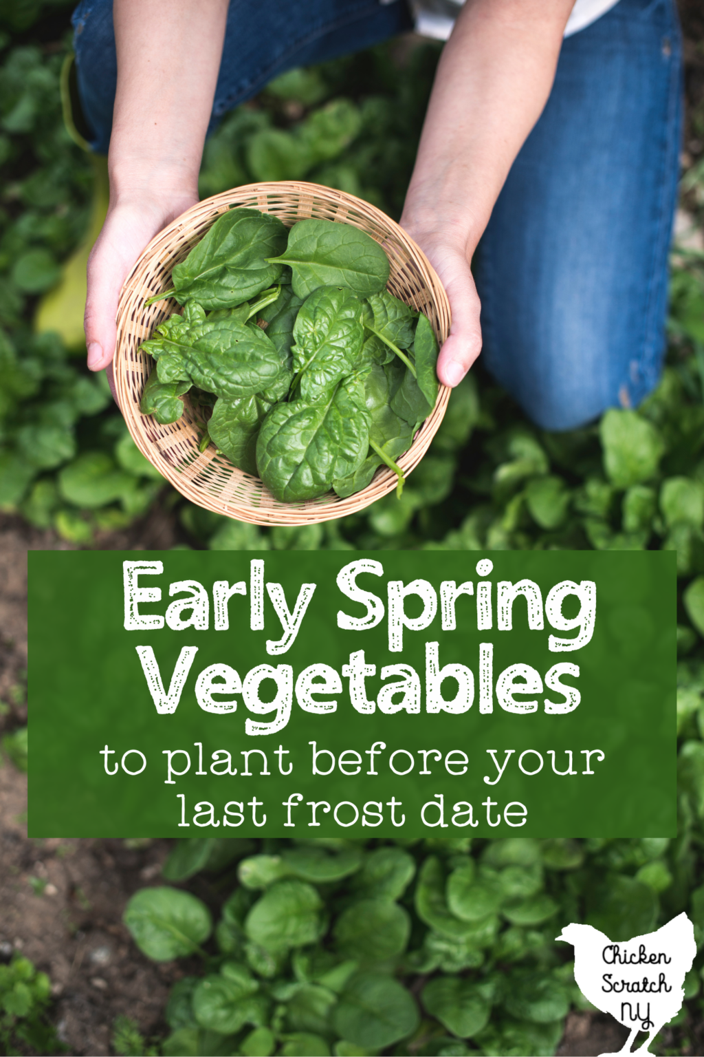Early Spring Planting: Vegetables to Plant Before Last Frost