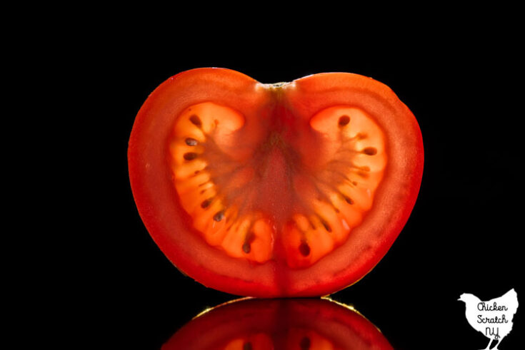 Beginners Guide to Tomato Varieties [Color, Shape, Size & Purpose]