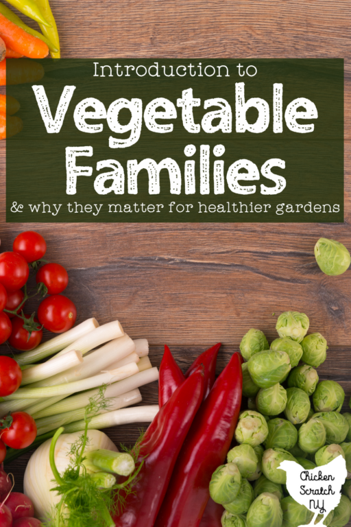Intro to Vegetable Families [for Crop Rotation & Pest Management]