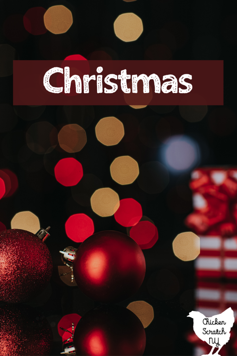 Christmas Crafts, Recipes, and DIY Ideas for the Holidays