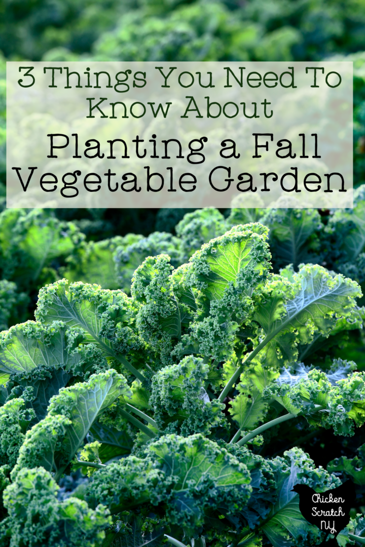 Fall Vegetable Garden Planting