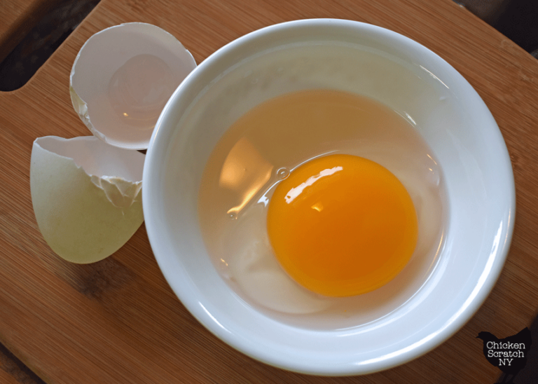 The Ultimate Guide to Goose Eggs