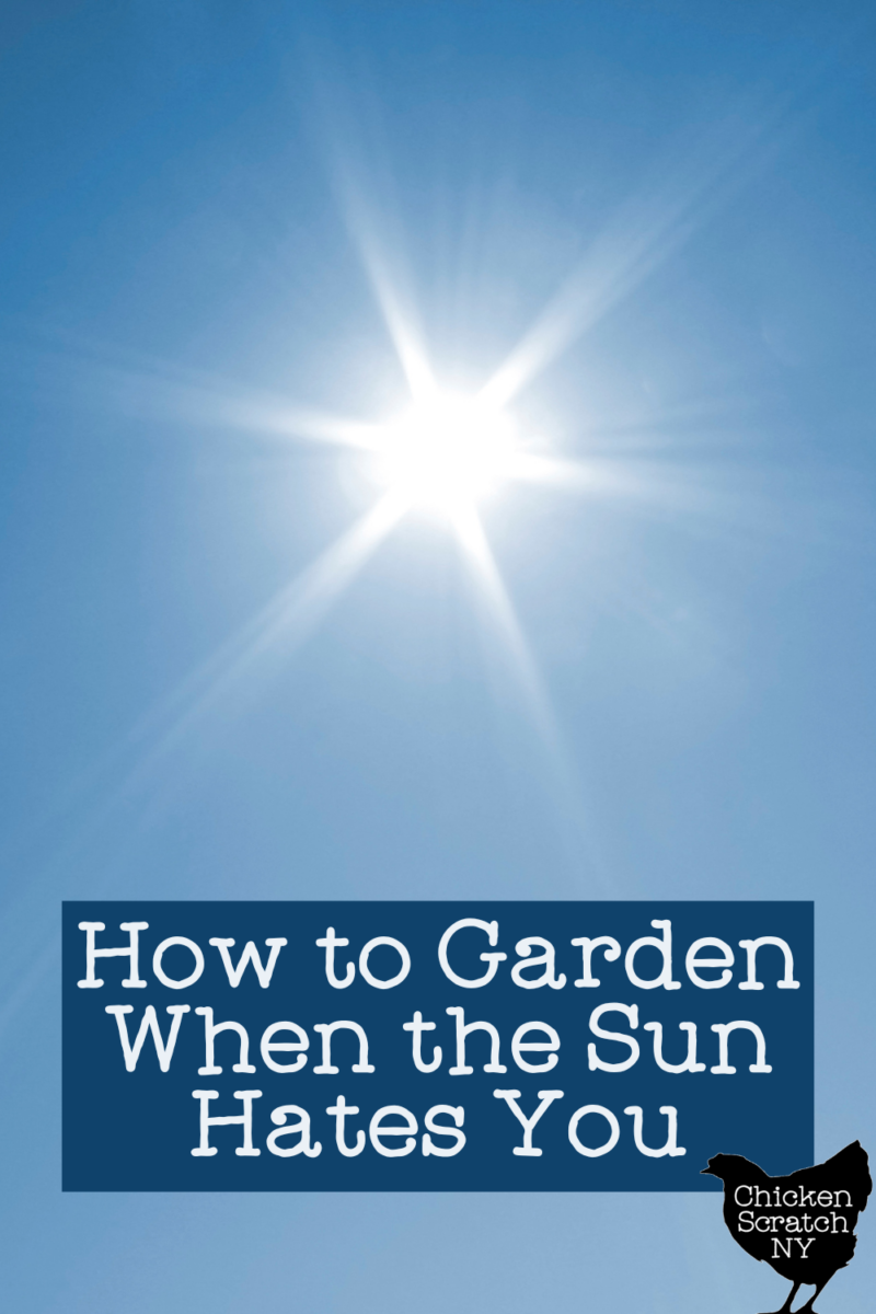 Sun Protection for Gardening